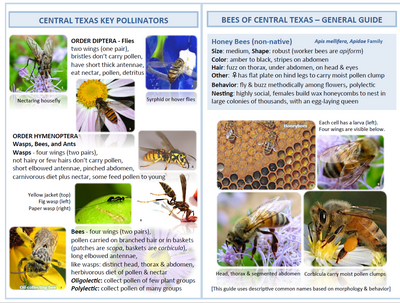 Helpful Guides — Texas Parks & Wildlife Department